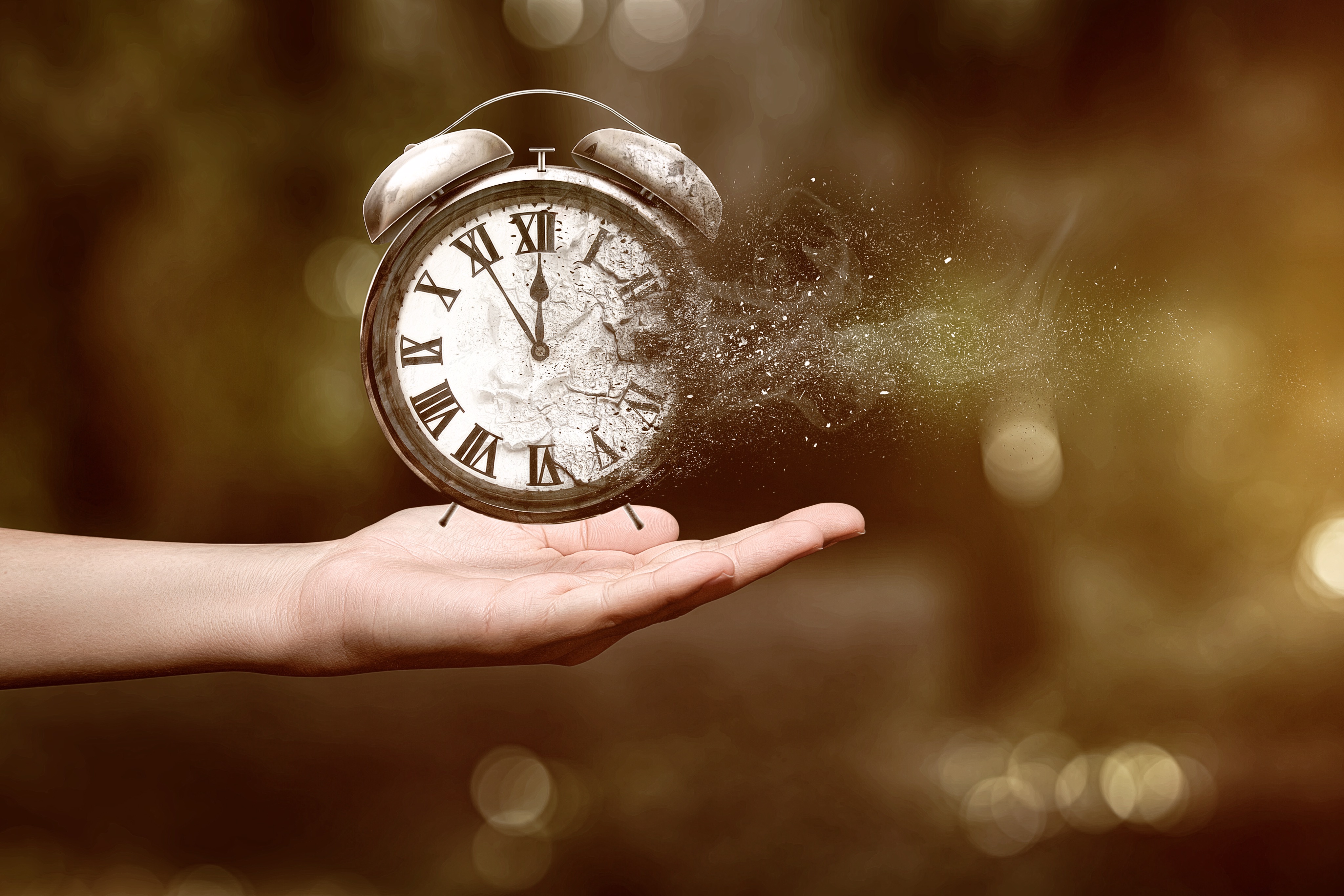 The Fleeting Passage Of Time Whole Mom